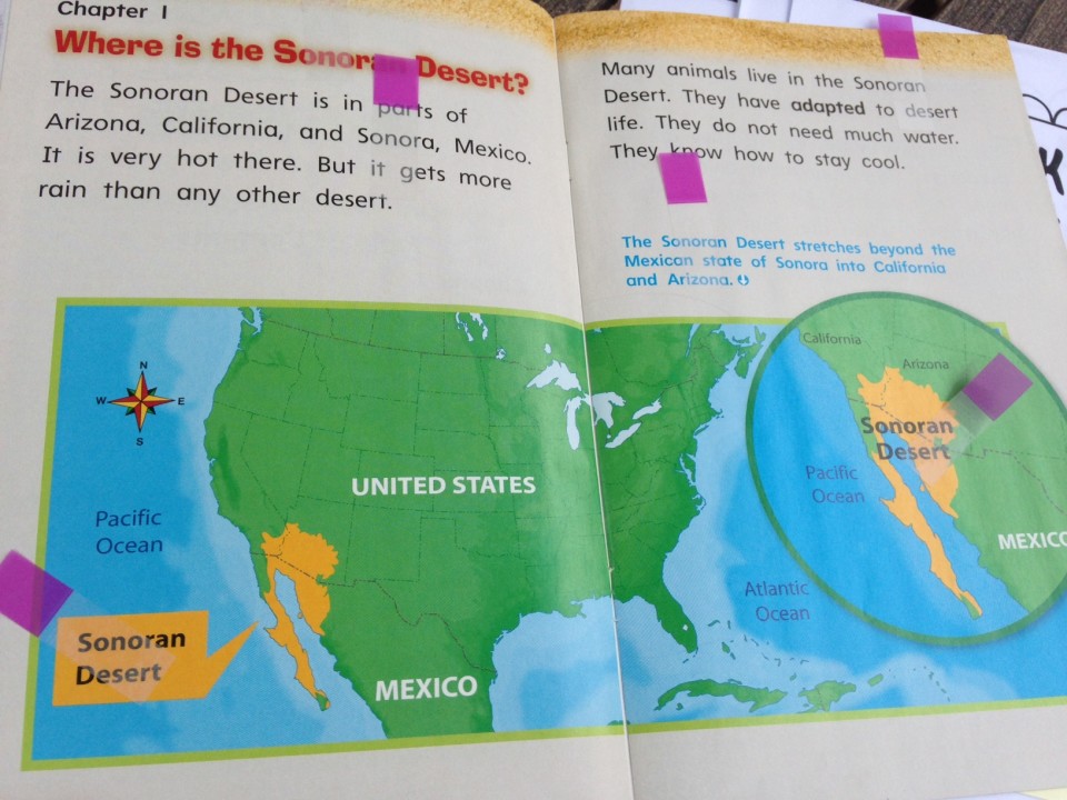 The Reading Strategies Book - Inspire Me ASAP