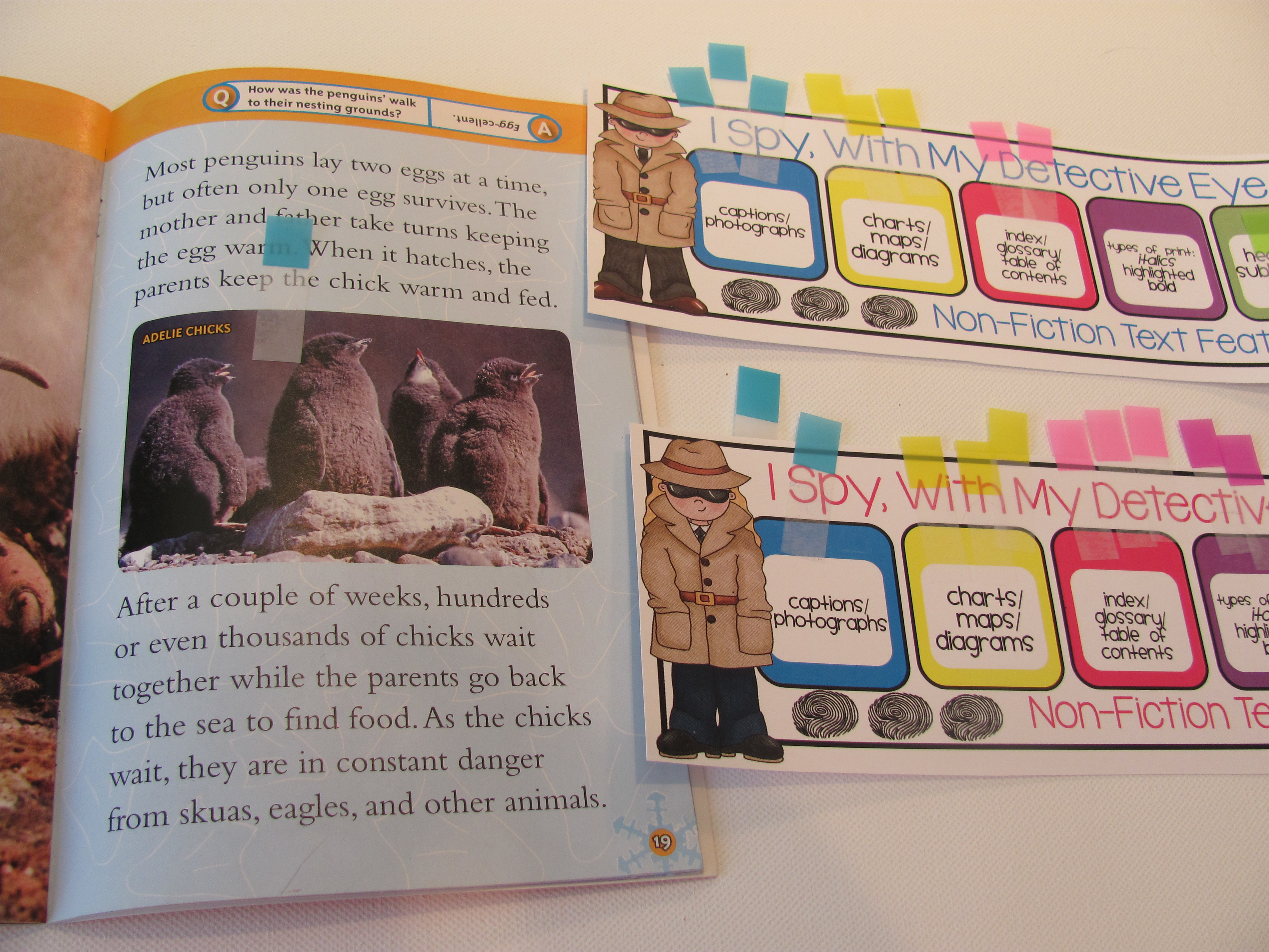 Informational Text Features - Inspire Me ASAP